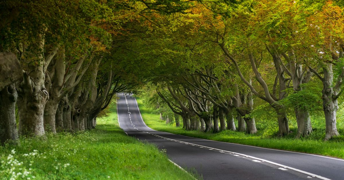 Exploring the UK's Ancient Roads | Ratcliffes